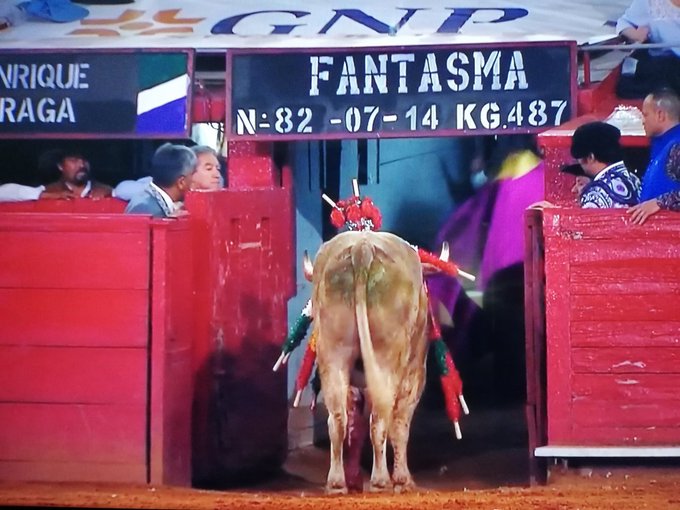 Regresa la ‘Fiesta Brava’ a la Plaza México - Almomento | Noticias ...