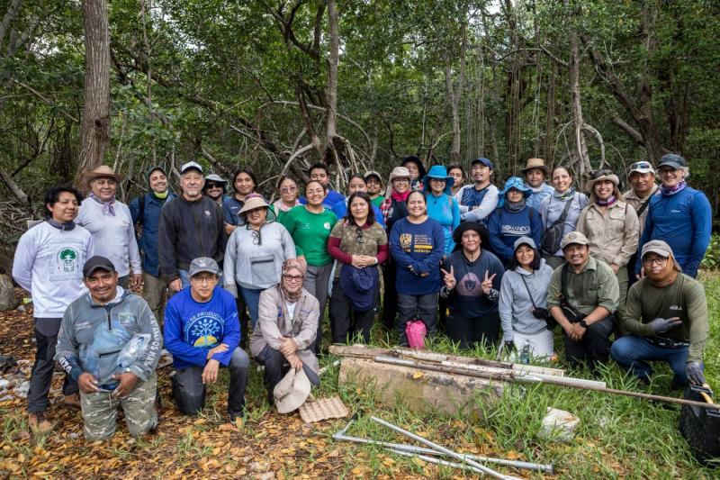 Especialistas crean red de carbono azul para conservar ecosistemas ...